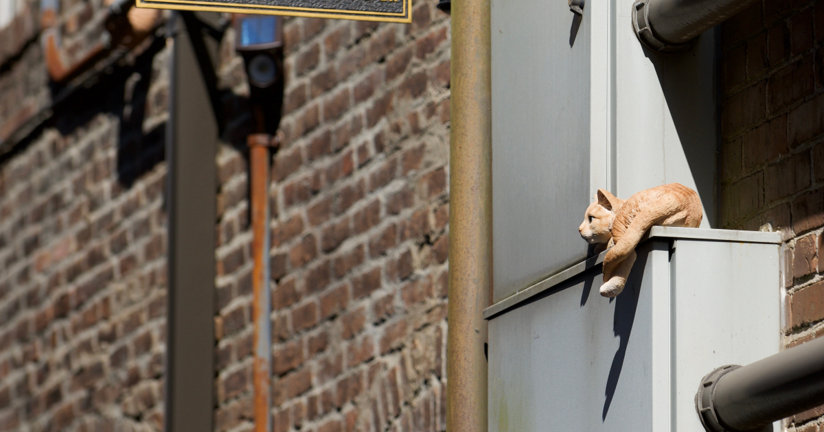 Hattiesburg Pocket Museum unveils official website | Visit Hattiesburg, MS