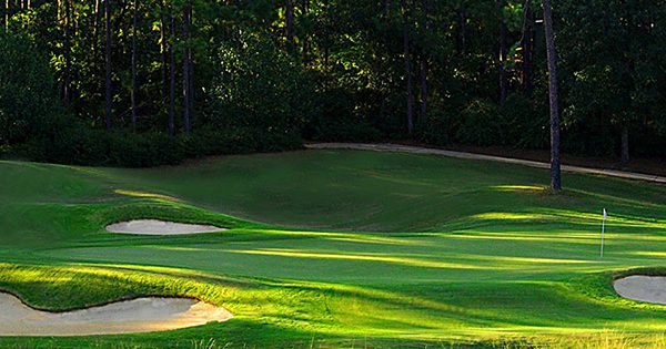 Timberton Golf Club | Visit Hattiesburg, MS